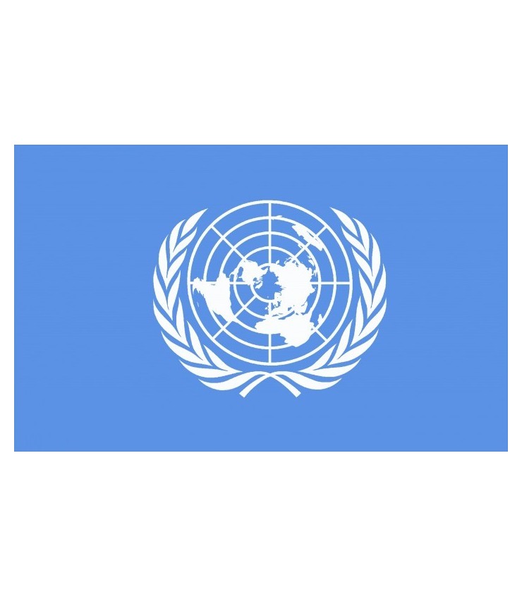 Bandera de la Onu